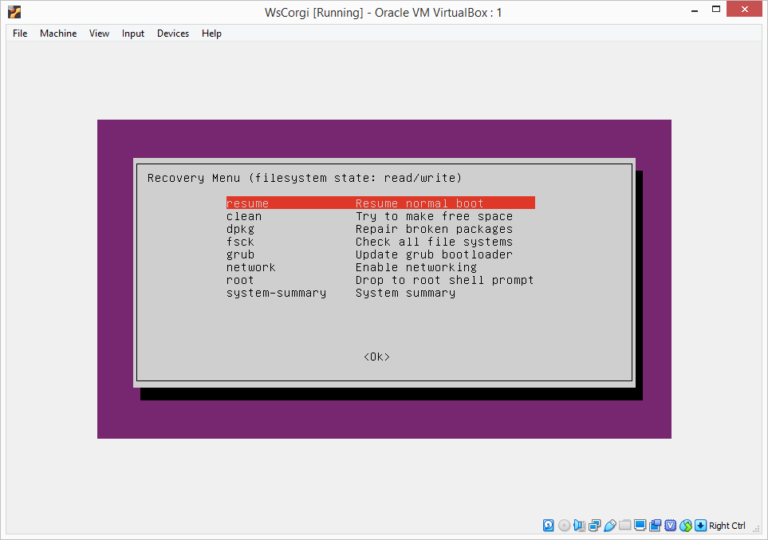 Notes on Fixing Ubuntu 18.04 VM not Booting | Noise from the Basement